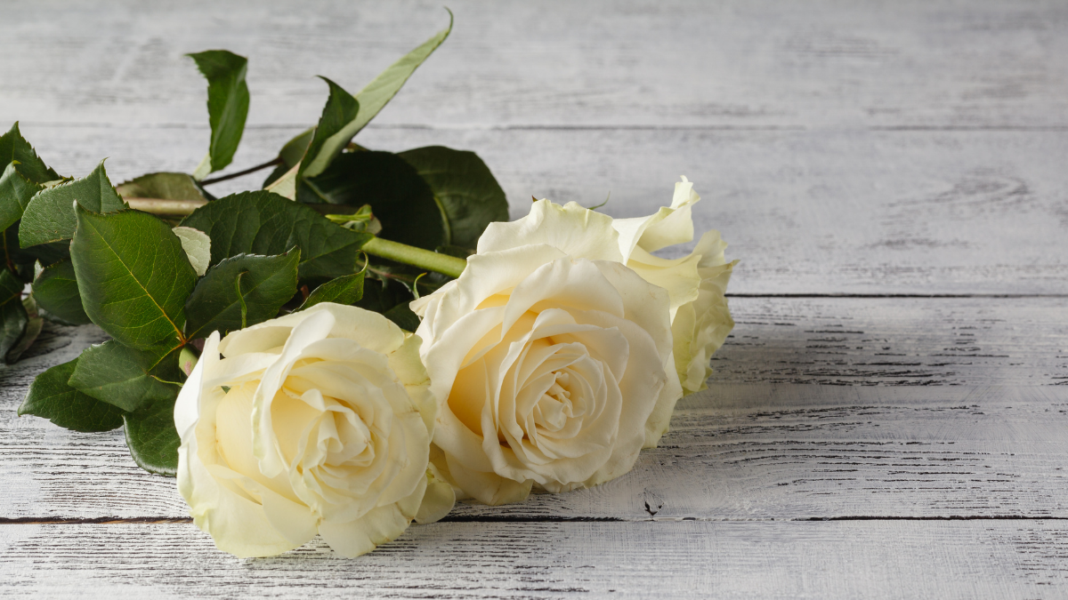 the day of my father’s funeral… – brittany nicole